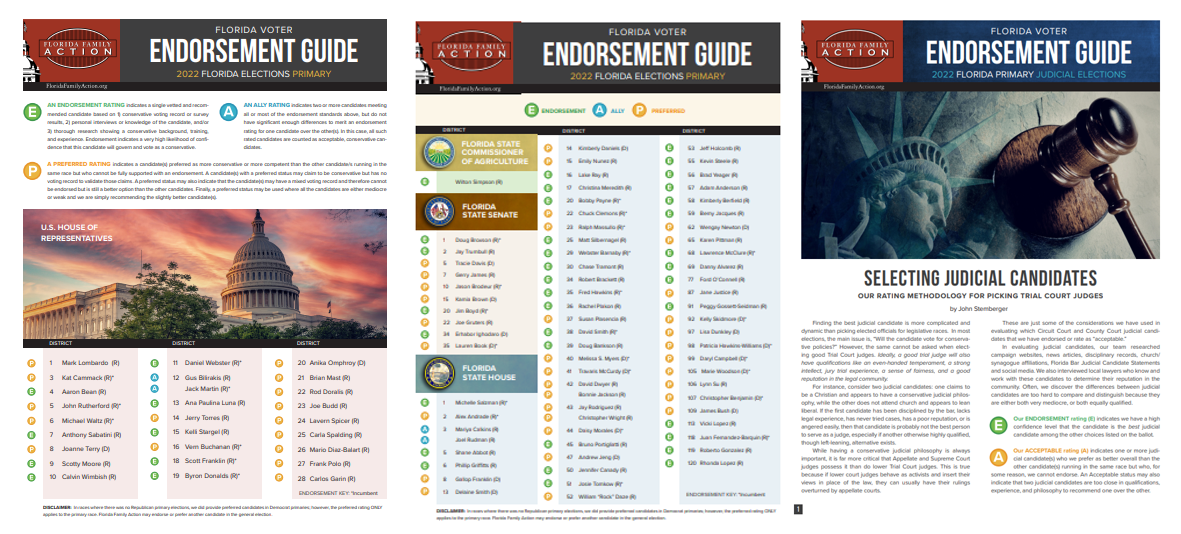 2022 Primary Voter Guide Endorsements Now Online: Judges, Local Races ...