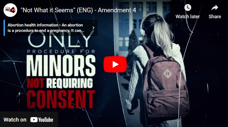 Florida Voter Guide - 2024 General Election Guide & Endorsements