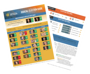 Florida Voter Guide - 2024 General Election Guide & Endorsements
