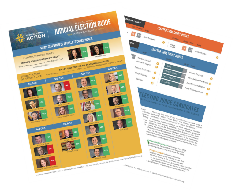 Florida Voter Guide - 2024 General Election Guide & Endorsements